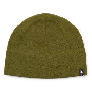 smartwool merino wool the lid for men and women, winter moss, one size