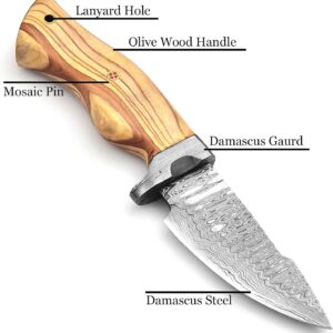 Huntex Smith 9.15” Hunting Knife, Handmade Damascus hunting knives with Leather Sheath Non-Slip Grip,Balanced & Lightweight fixed blade knife, Ideal for outdoor,indoor Skinning,Survival,Camping,Bushcraft Knife, Ideal Gift(Ash-Wood)