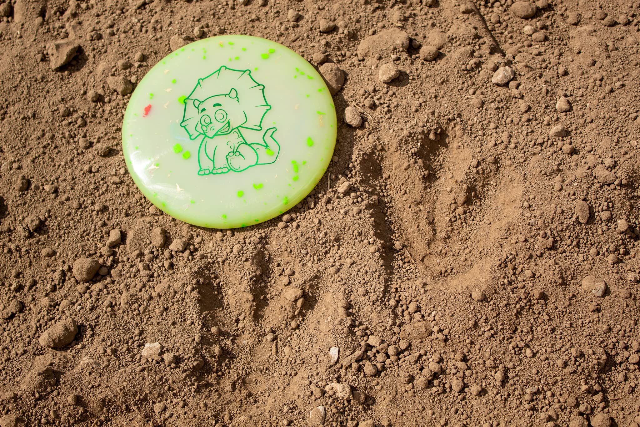 Triceratops Disc Golf Putter for Children | Ultra Lightweight | Made by Dino Discs (Egg Shell)