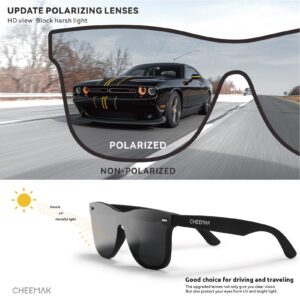 CHEEMAK Polarized Sunglasses for Men/Women Retro Sun Glasses for Fishing Driving Hiking Cycling Golf 100% UV Protection (Black)