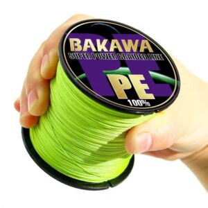 Fishing Lines 4 Braided Fishing Line 300M 100M PE Multifilament Carp Sea Saltwater Floating Wire Accessories Fishing Tool (Color : Green, Size : X4 100M 20LB 1.0)