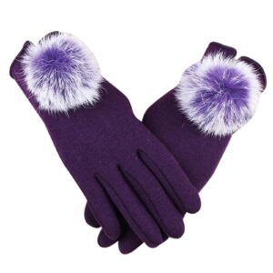 warm gloves for cold weather full finger texting gloves winter thermal fleece lined mittens for women (purple, one size)