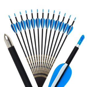 fenjaner archery 30inch carbon arrow spine 500 practice hunting arrows with removable tips for compound bow and recurve bow (pack of 12) (6mm-blue)