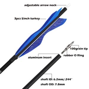 ZSHJGJR 28"/30"/31" Carbon Hunting Arrows Archery Target Practice Arrows with 5" Turkey Feathers Spine 500 for Recurve Bow and Compound Bow 6/12pcs (28 inch, blue, 12)