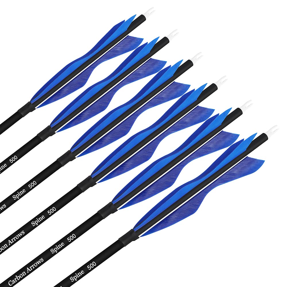 ZSHJGJR 28"/30"/31" Carbon Hunting Arrows Archery Target Practice Arrows with 5" Turkey Feathers Spine 500 for Recurve Bow and Compound Bow 6/12pcs (28 inch, blue, 12)