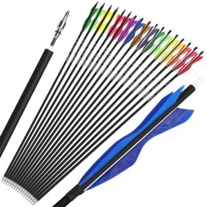 zshjgjr 28"/30"/31" carbon hunting arrows archery target practice arrows with 5" turkey feathers spine 500 for recurve bow and compound bow 6/12pcs (28 inch, blue, 12)