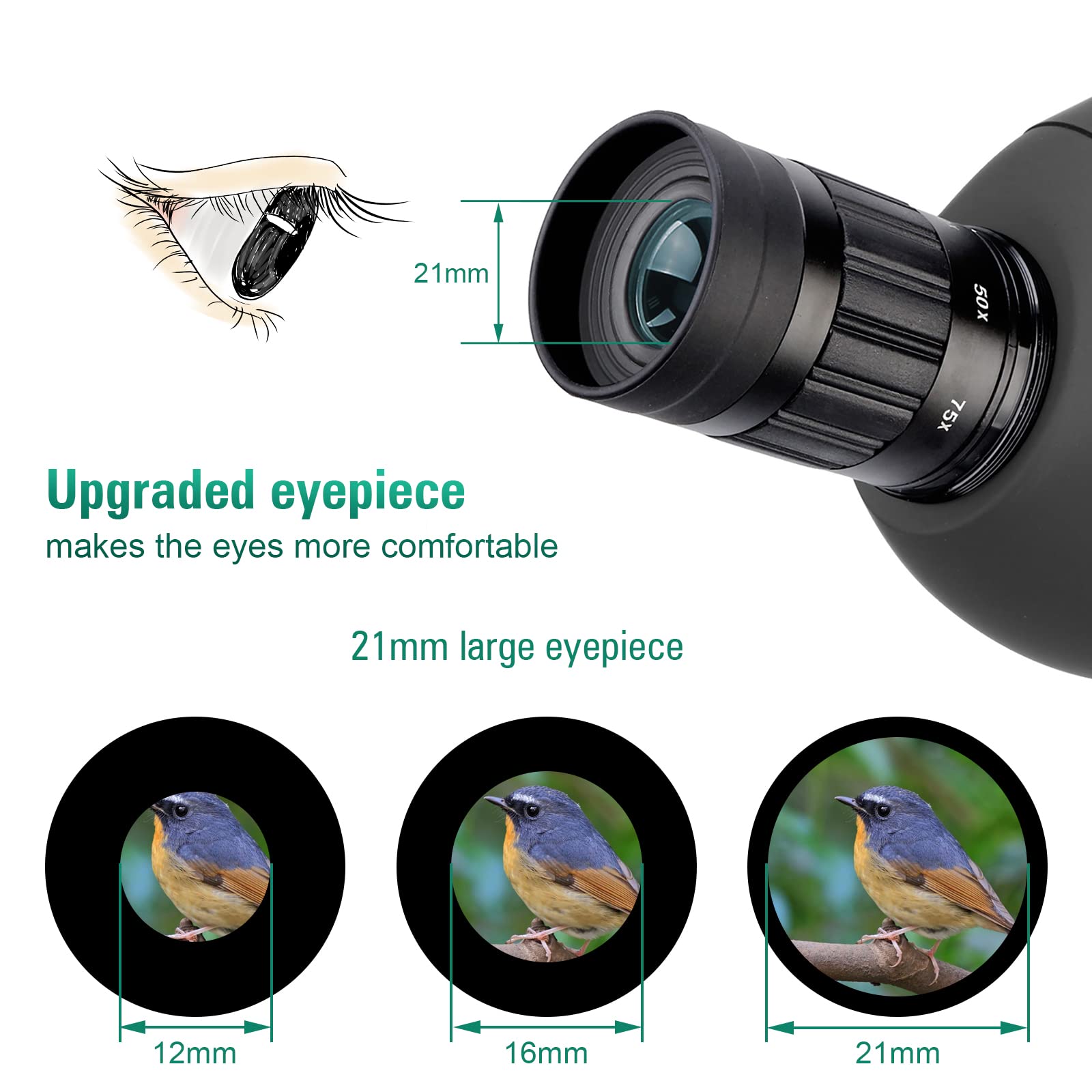 SVBONY SV28 25-75x70 Spotting Scopes with Tripod Bundle with SV146 Tabletop Spotting Scope Tripod for Bird Watching Target Shooting Hunting Wildlife