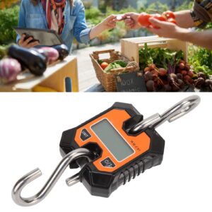 Fish Scale, Multifunction Portable Hanging Scale Digital Fishing Scale with Backlit LCD Display, g, kg, lb Weighing Units, 0.2kg to 100kg Electronic Hook Scale for Fishing, Hunting, Luggage, Shopping