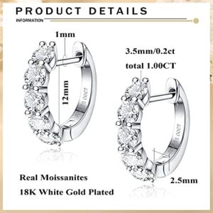 Moissanite Hoop Earrings,2.0ct D Color Brilliant Round Cut Lab Created Diamond Earrings 18K White Gold Sterling Silver Huggie Earring for Women Men Wedding Earrings Silver (Silver)