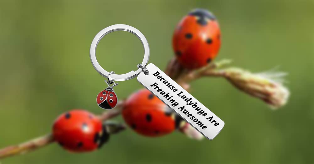 HOLLP Ladybug Jewelry Lady Beetle Gift Because Ladybugs Are Freaking Awesome Keychain for Gardener (Because Ladybugs)