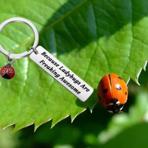 HOLLP Ladybug Jewelry Lady Beetle Gift Because Ladybugs Are Freaking Awesome Keychain for Gardener (Because Ladybugs)