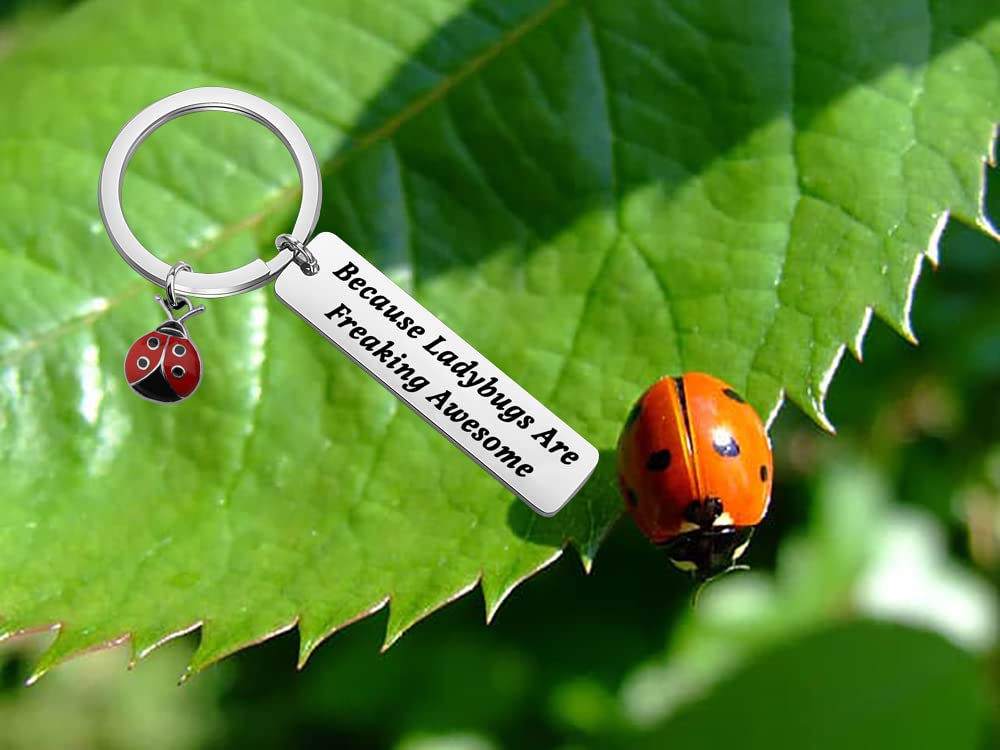 HOLLP Ladybug Jewelry Lady Beetle Gift Because Ladybugs Are Freaking Awesome Keychain for Gardener (Because Ladybugs)