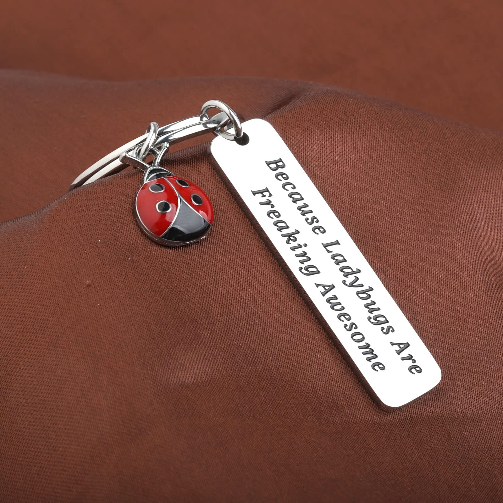 HOLLP Ladybug Jewelry Lady Beetle Gift Because Ladybugs Are Freaking Awesome Keychain for Gardener (Because Ladybugs)