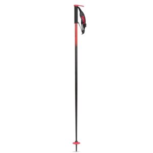 line pin ski poles black/red 110cm (44in)