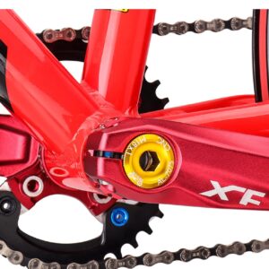 Yundxi 1 Piece Bike Crank Bolts Aluminum Alloy Bicycle Crankset Crank Fixing Bolt Chainwheel Screw Cap for Mountain Road Bike (M20*11mm)