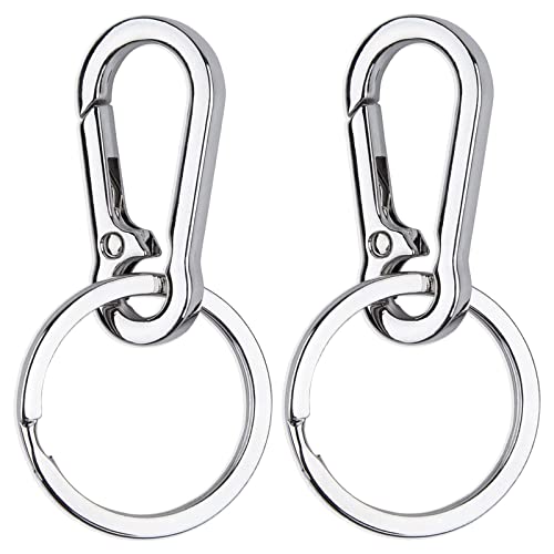 Geeice Metal Keychain Holder for Belt Heavy Duty Carabiner with Keyring Clips Organizer for Car Keys, Zinc Alloy, 2 Pack