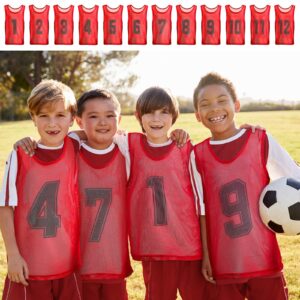 Hercicy 24 Pcs Youth Teen Pinnies Soccer Pinnies Training Vest Adult Mesh Reversible Numbered Football Jersey(Medium,Red, Blue)