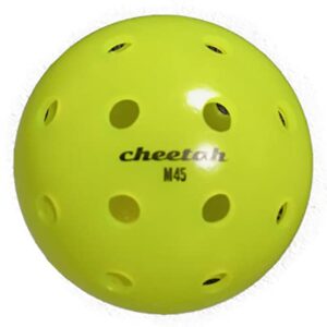 Cheetah Predion E16 Raw Carbon Fiber Pickleball Paddle