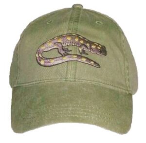 tom's bird feeders spotted salamander embroidered cotton cap green