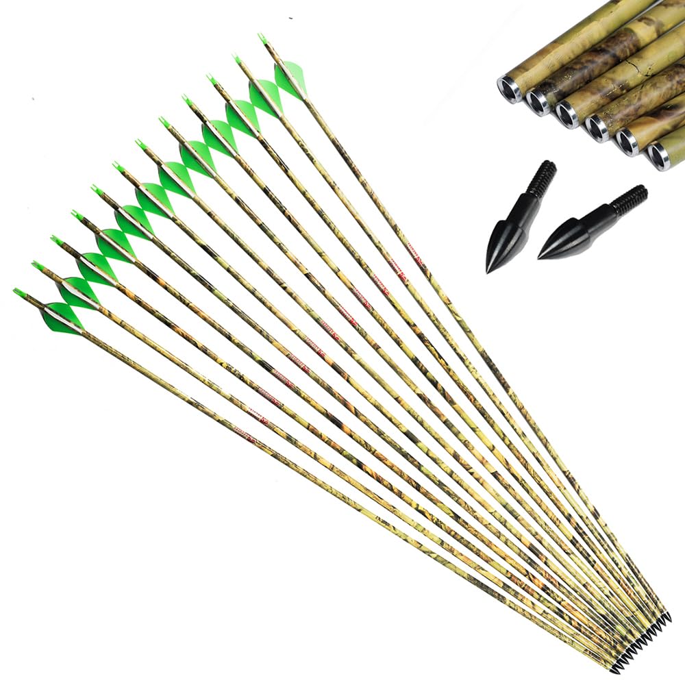 Linkboy Archery Carbon Arrows Hunting Practice Target Arrows with Removable Tip for Compound Recurve Long Bows, Spine 300 340 400 500 600, Pack of 12PCS