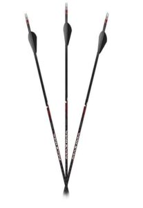 carbon express maxima sable rz 400 arrow, 6-pack fletched (51201), black