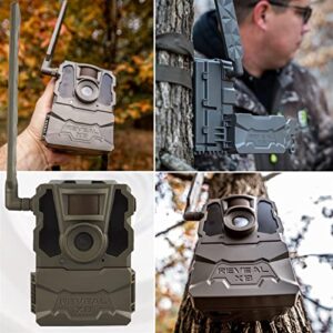 TACTACAM Reveal XB Cellular Trail Camera, No Glow - Verizon & AT&T (2 PK) + Two 32GB SD Cards