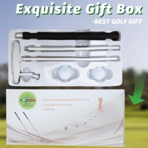 Golf Putter - Golf Putters Right Handed for Beginner Youth, Mini Golf Clubs Set - 33" Right-Hand putters with 2 Standard Double Layer Construction Golf Balls & Gift Box