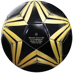 Fantecia Unisex Size 5 Soccer Ball, Official Match Weight Futsal Ball, Professional Outdoor/Indoor Soccer Ball with Pump for Youth & Adult.