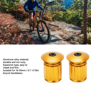 BuyWeek Bike Handlebar End Plugs, 1 Pair Bicycle Expansion Bar Plug Aluminum Alloy Bike Expansion Lock Bar Plug for Mountain Road Bike(Gold)