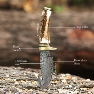 SUSA KNIVES Damascus Steel Gut Hook Hunting Knife Fixed Blade STAG Horn Handle EDC Survival Knife for Men - Fixed Blade