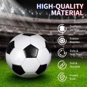 HyDren 4 Pcs Soccer Ball with Pump Official Size Indoor Outdoor Sports Soccer for Child Adult Players Game Training Back to School Gift(Size 5, Elegant)