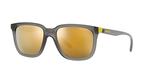 Arnette Men's AN4306 Plaka Square Sunglasses, Transparent Grey/Mirrored Yellow Gold, 54 mm