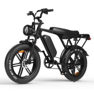 electric bike for adults, 20" fat tires ebikes, 48v 15ah removable battery, 750w motor, 7 speed gears, suspension system, dual disc brakes, beach, mountain, snow, city e bike