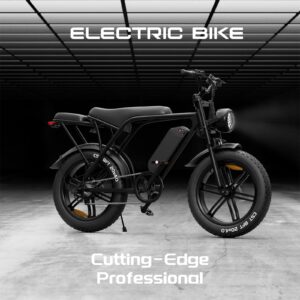 Electric Bike for Adults, 20" Fat Tires Ebikes, 48V 15AH Removable Battery, 750W Motor, 7 Speed Gears, Suspension System, Dual Disc Brakes, Beach, Mountain, Snow, City E Bike