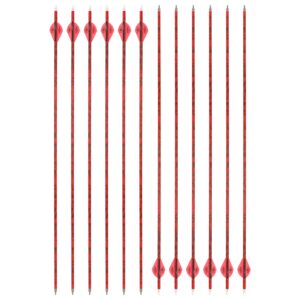 ZSHJGJR 30" Carbon Arrows Archery Hunting Arrows Spine 500 with Removable Tips Targeting Practice Arrows for Compound Recurve Bow (12, Red)