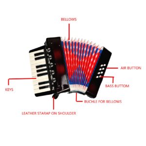 SIPSOCE Accordion 17 Keys 8 Bass, Keyboard Instrument,Convenient to Carry, Suitable for Outdoor Concerts，For Beginners to Use