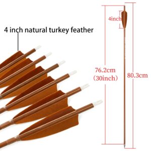 wolfman 30" Archery Carbon Arrows Spine 500 600 Hunting Arrows with 4” Turkey Feather Targeting Arrows for Compound & Recurve &Traditional Bow 6/12pcs (12pcs + Tube, Spine 500)