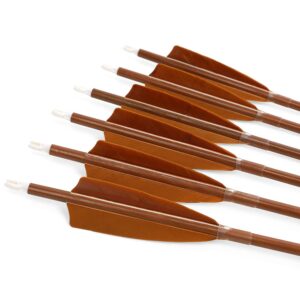 wolfman 30" Archery Carbon Arrows Spine 500 600 Hunting Arrows with 4” Turkey Feather Targeting Arrows for Compound & Recurve &Traditional Bow 6/12pcs (12pcs + Tube, Spine 500)