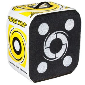 Field Logic Black Hole Archery Target 18" and Flambeau Outdoors 6461SC Safe Shot Bow Case | Portable Archery Target and Bow Storage Case