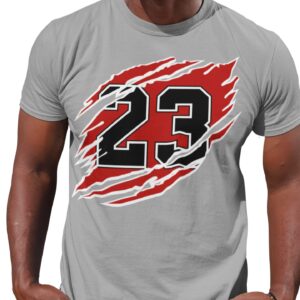 23 SLASH Shirt to Match Jordan Retro Sneakers Low Mid High 1 2 3 4 5, Tee to Match Jordan 1s 2s 3s 4s 5s 6s Grey