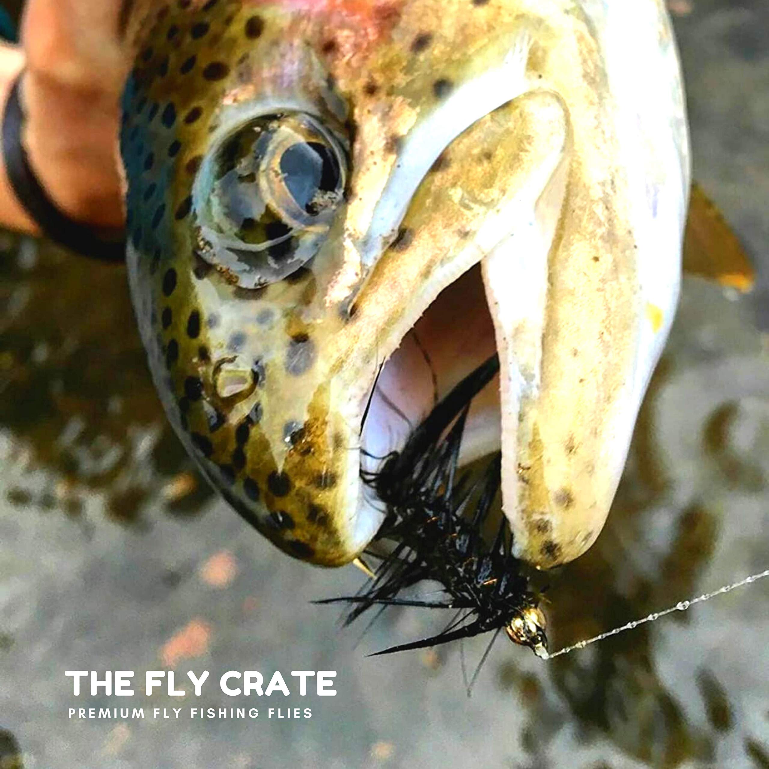 The Fly Crate Woolly Bugger Flies for Trout Fly Fishing Assortment - Size #8 Streamer Fly Fishing Flies (18 Pack - Variety)