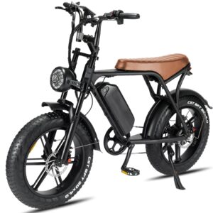 20 inch electric bike adult electric bike with 48v 15ah removable battery, max speed 28mph pedal snow bike 20 inch fat tire electric mountain bike, smart digital screens,60 miles long range