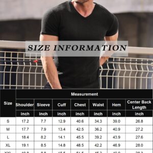 COOFANDY Men's 2 Pack Muscle T Shirts Stretch Short Sleeve V Neck Bodybuilding Workout Tee Shirts