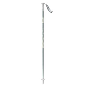 scott koko ski poles (dark green, 105) 2022/23