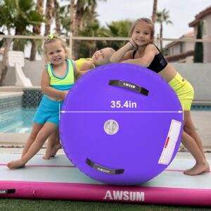 AWSUM 4ft L x 3ft Diam Gymnastics Air Roller Tumbling Mat Barrel Backbend Trainer for Gym Inflatable equipment with Electric Pump