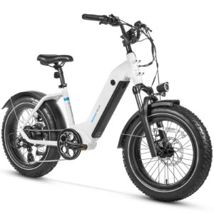 magicycle electric bike for adults 750w motor fat tire e bike 52v 15ah step-thru 20" electric mountain bike for beach snow 55 miles 7 speeds