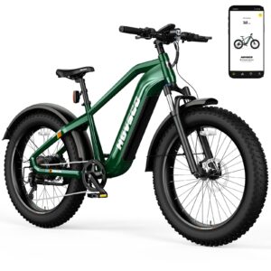 hovsco electric bike, 26"x 4" fat tire ebike for adults, 750w motor torque sensor mountain bike 28mph, 48v 20ah removable battery 80miles adult electric bicycle, 7 speed gear, hydraulic disc brake