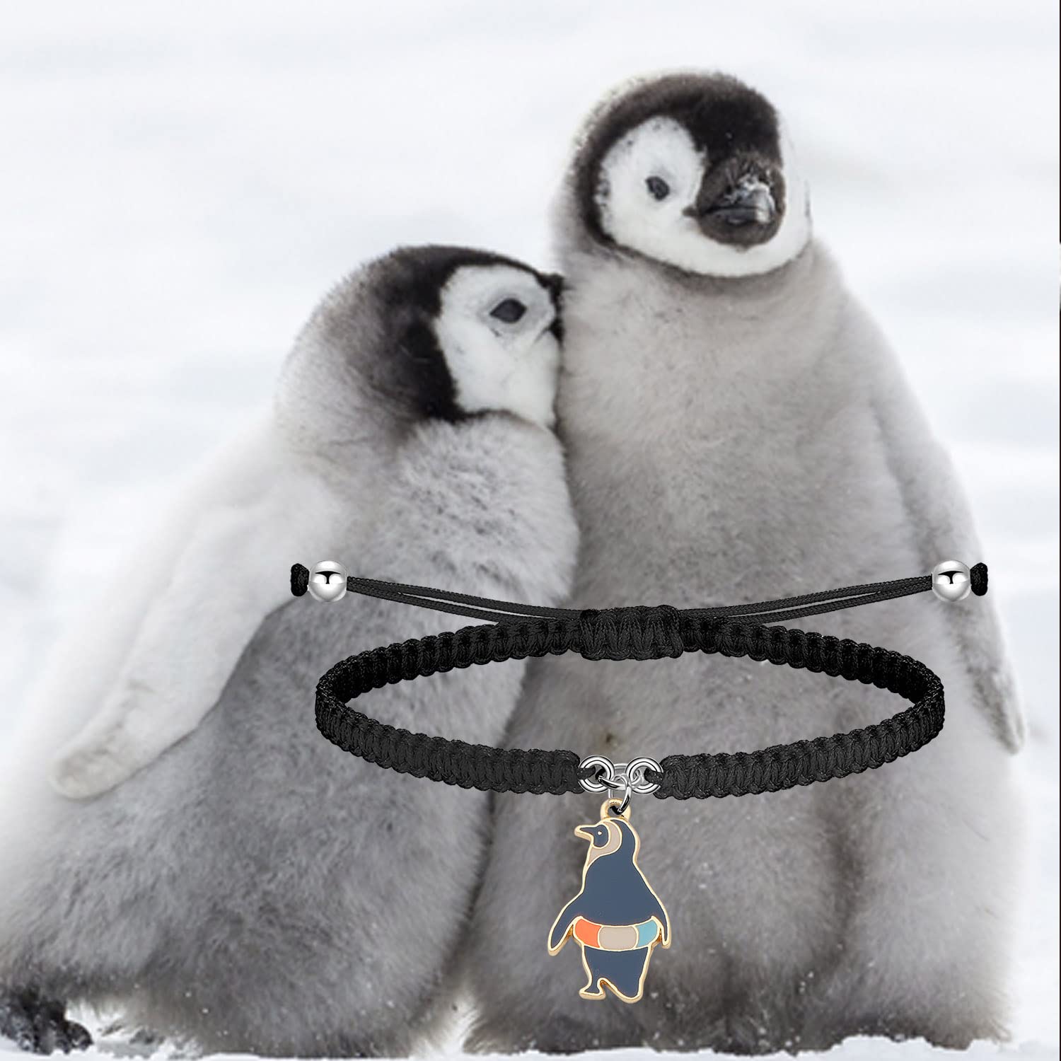 PLITI Penguin Gift For Women Penguin Lover Gift Penguin Fans Gift Penguin Theme Bracelet Cute Penguin Jewelry (penguin bg)