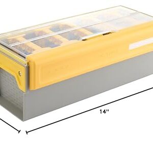 Plano EDGE Frog Bait Utility Box, Gray/Yellow, Holds Up to 50 Individual Frog Baits, Tackle Accessory Storage, Waterproof and Rust-Resistant Bait Storage Container