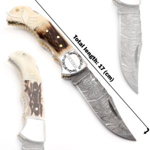 Lara Eagle Personalised Damascus Pocket Knife for Men - 133 Layer Solid Steel Handmade Folding Hunting Knives with Sharpner and Leather Pouch - Best Knife for Camping Hunting Hiking - Father’s Day Gifts for Men Husband Dad